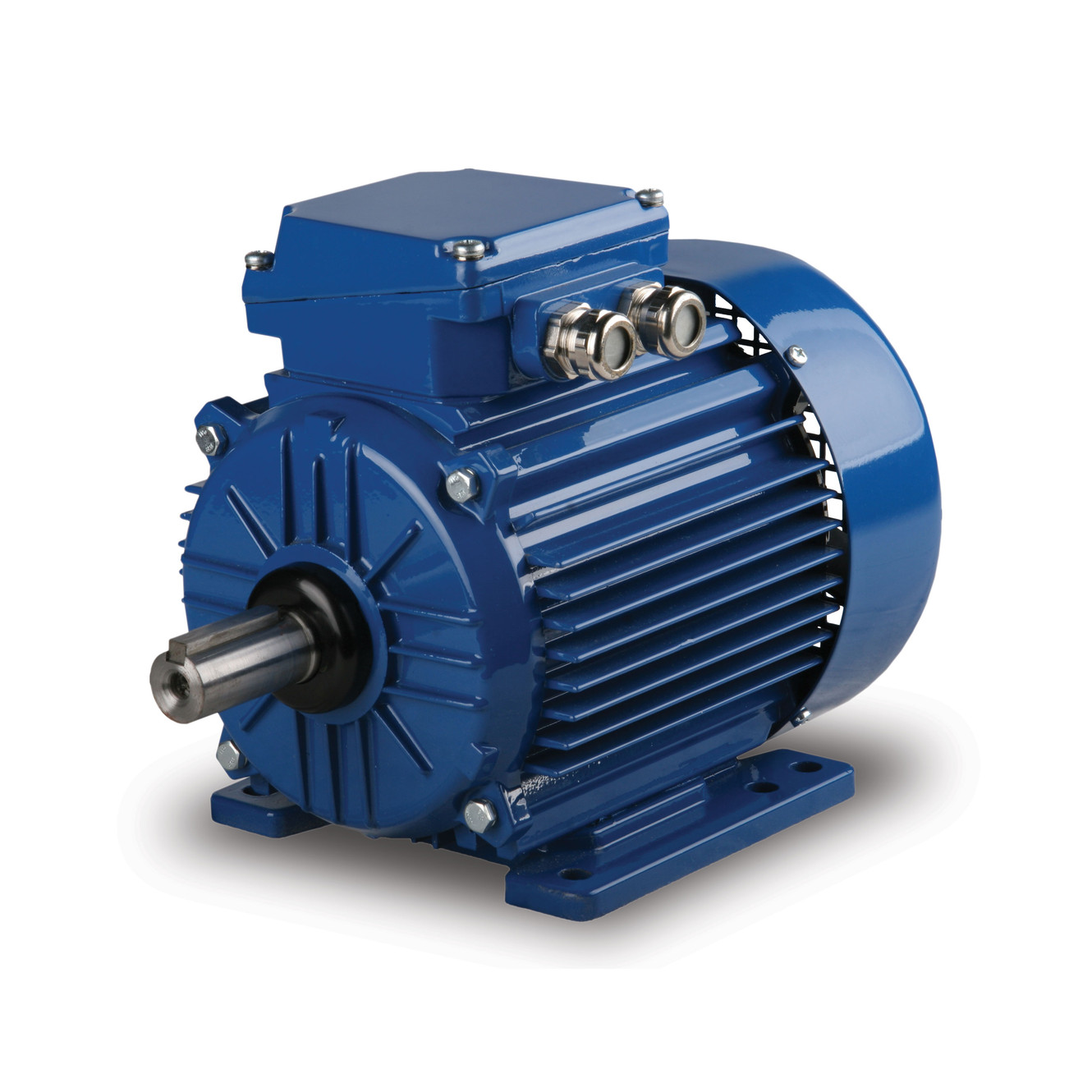 20MFM-3-100-36P/575 Metric IEC Motors