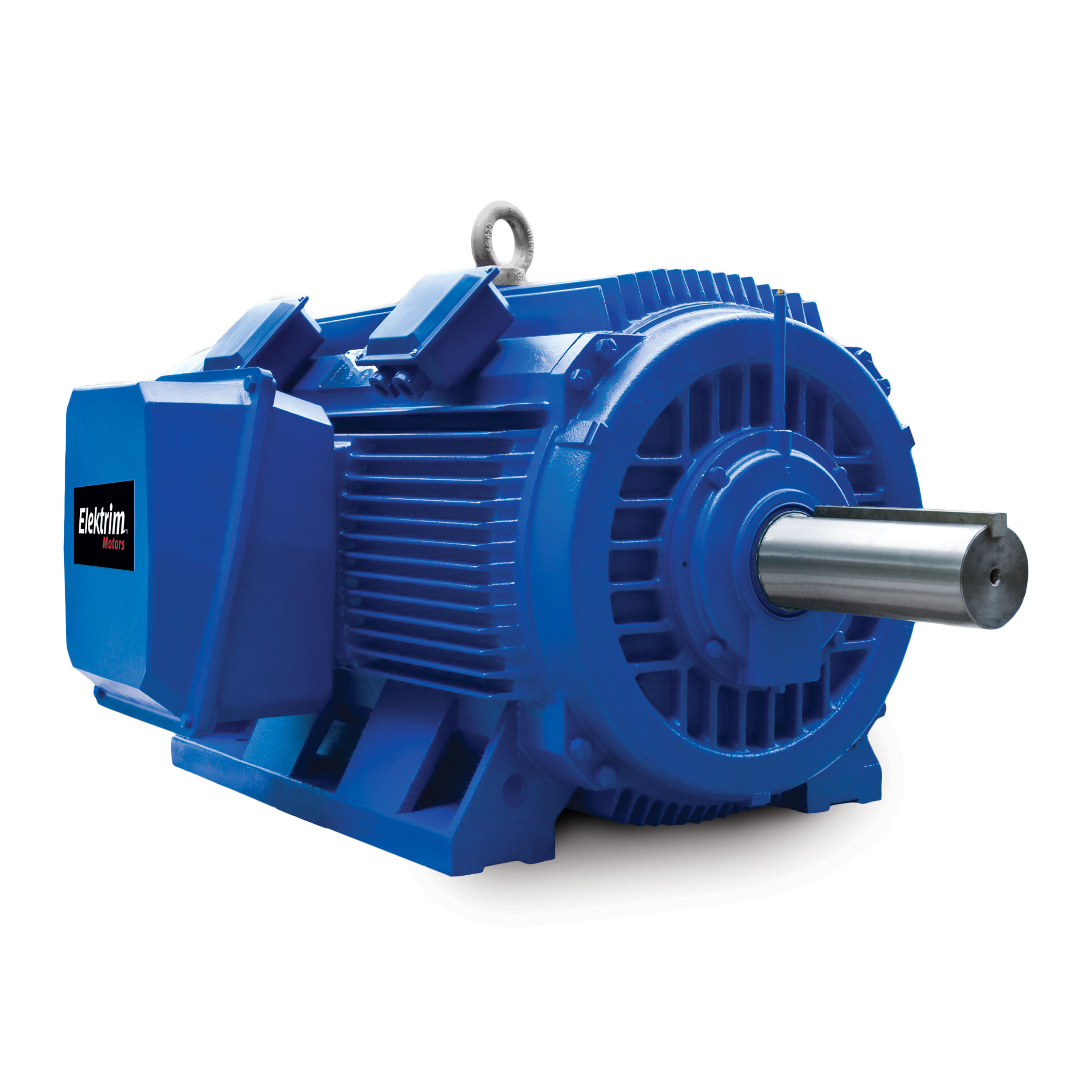 Crusher Duty Motors