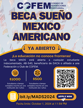 Council of Mexican Federations in North America (COFEM)