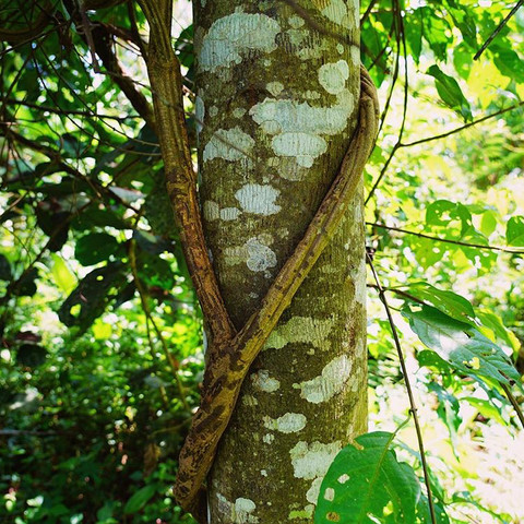 Our Family & Home | Parign Hak