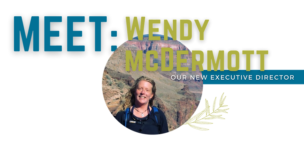 Introducing our new Executive Director, Wendy McDermott