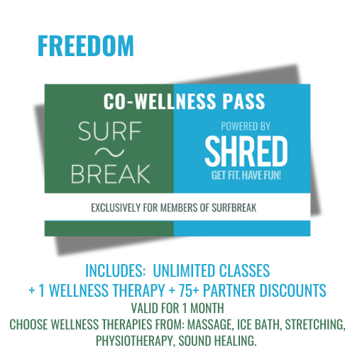 Surfbreak Freedom SHRED Pass | That SHRED Life
