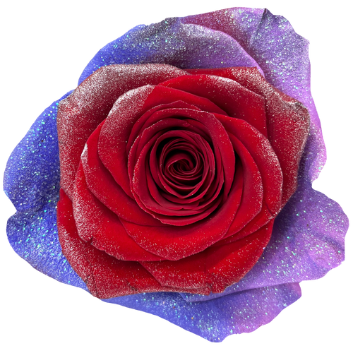 Blooming Love | Florecal