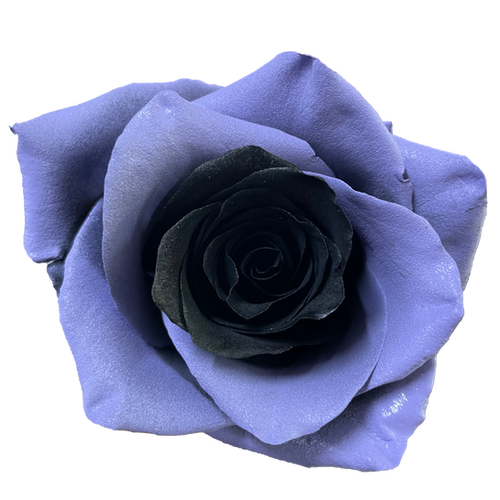 Cursed Amethyst | Florecal