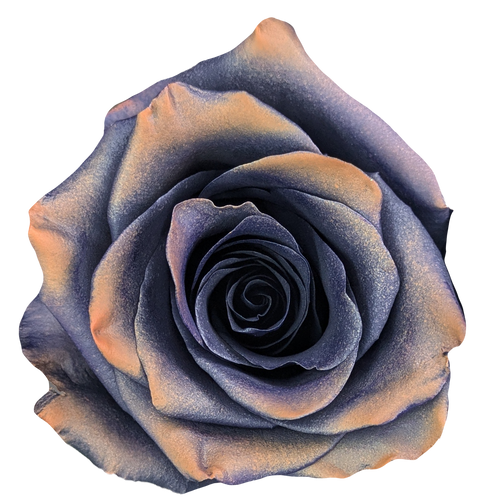 Rustic Glow | Florecal