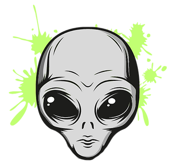 Alien Paintball TN | 8772 Oak Springs Rd, Nunnelly, TN 37137, USA