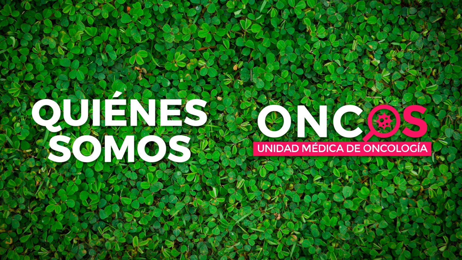 Quiénes Somos | ONCOS Unidad Medica de Oncología
