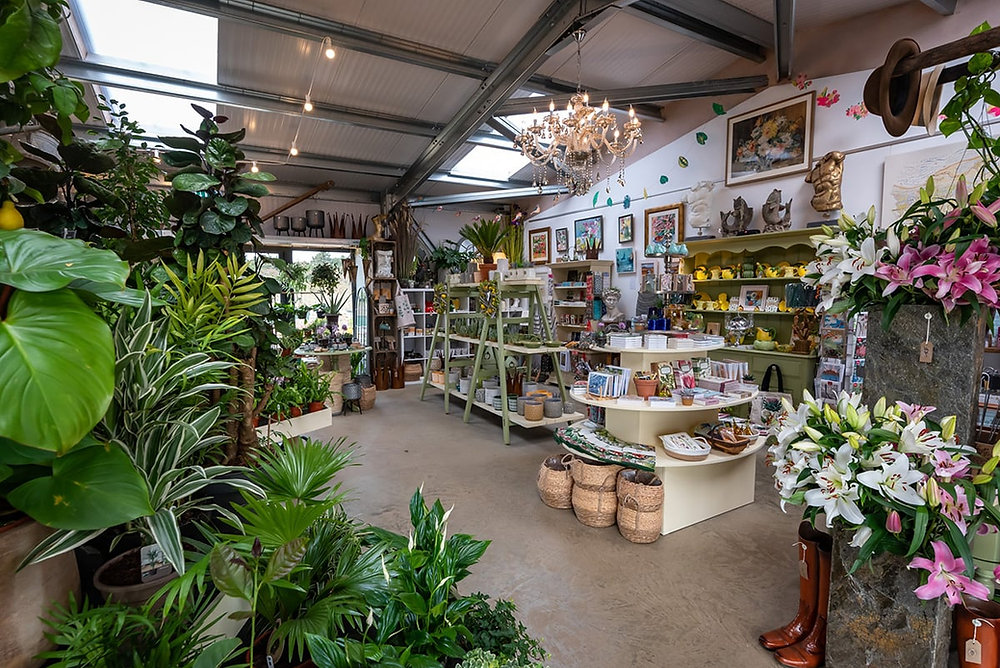 Introducing Hortico!