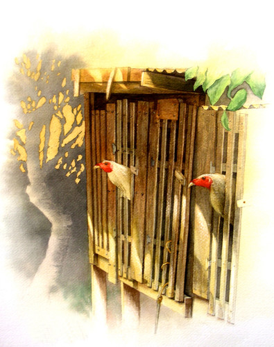 Chicken Coop | Joseph Dutton Guild