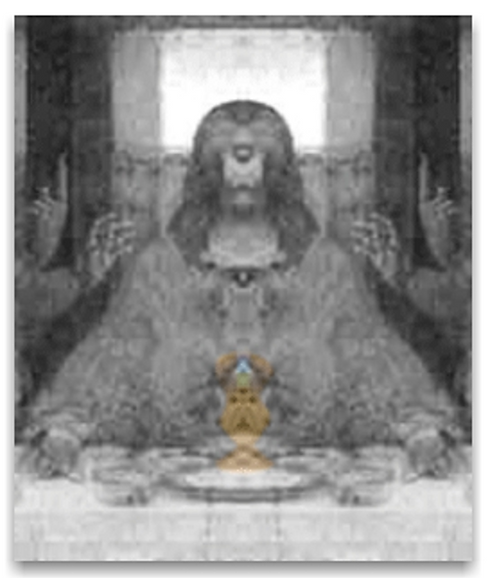 The Holy Grail Stone | Rare Moldavites