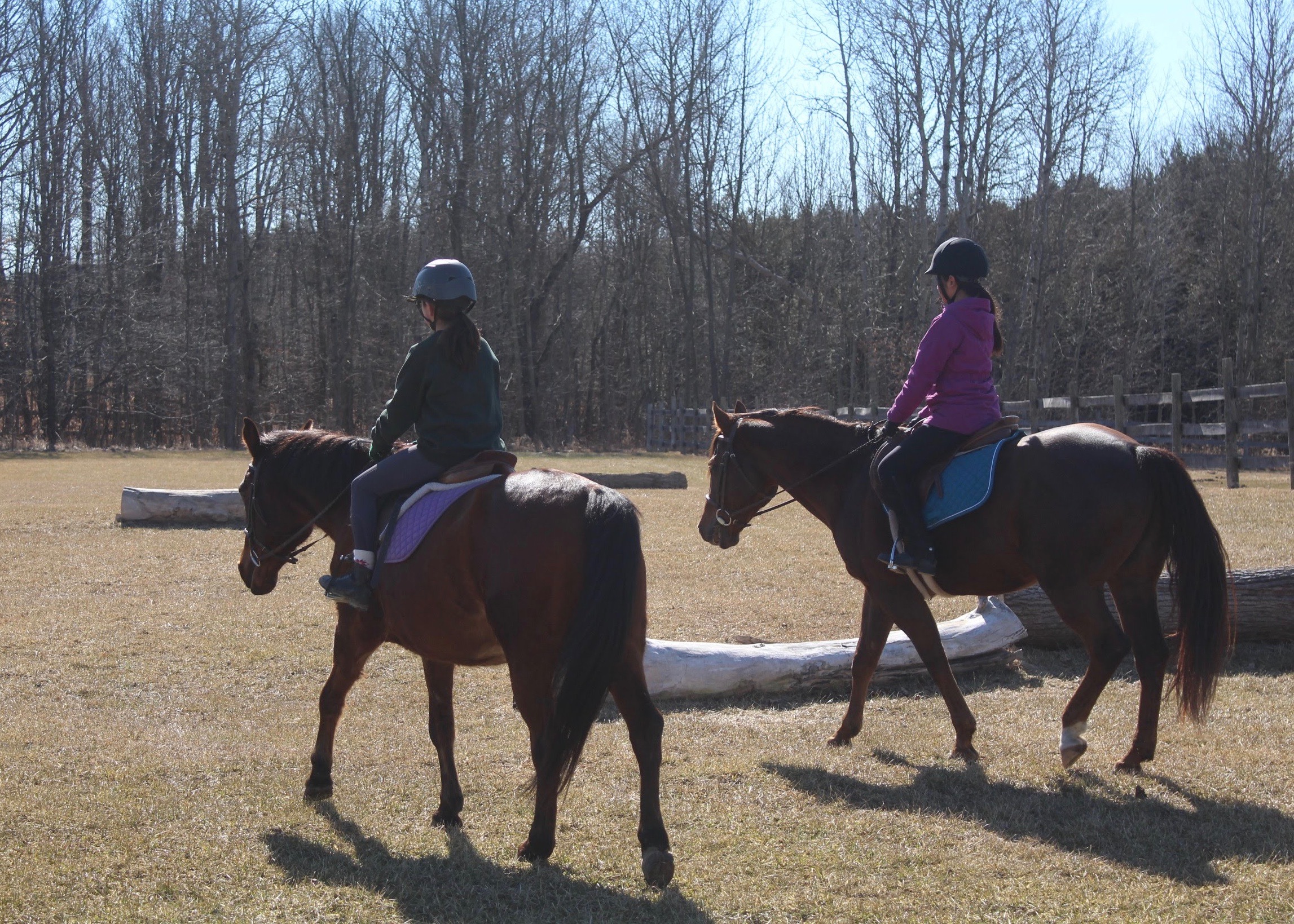 Riding Lessons| Ridgewood Farm