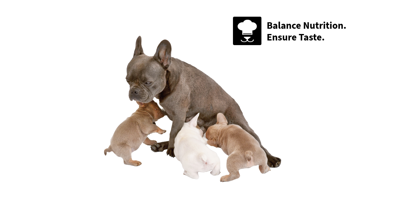 Canine Lactation: Energy and nutritional needs