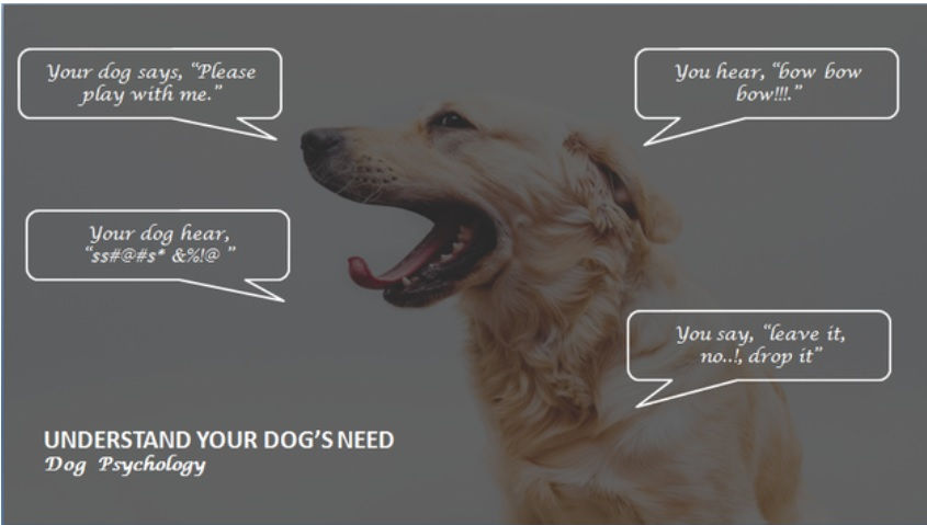 Dog Psychology - Part 1