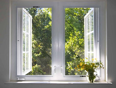 Types of Windows We Service | Longhorn Windows | Texas