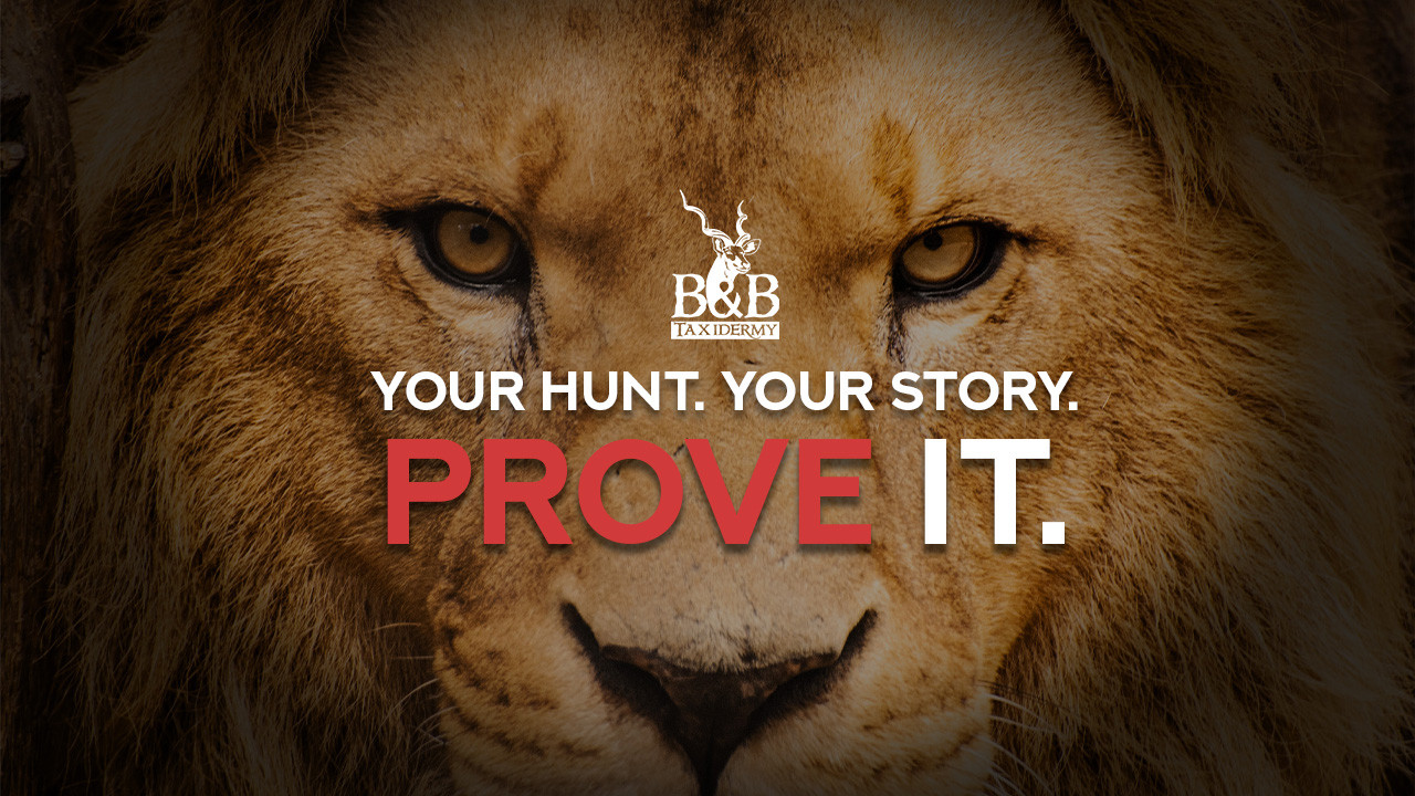 Trophy Room Design & Installation | Showcasing Your Legacy