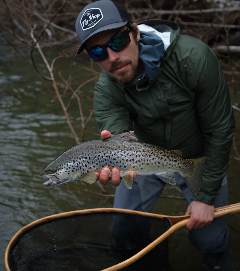 Vancouver Island Steelhead Rivers