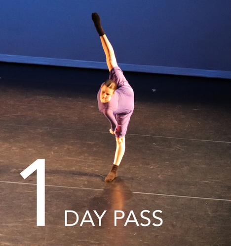 One Day Master Class Pass | DASSdance