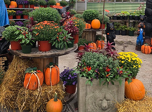 Frailey's Greenhouse & Garden Center | Frailey Company