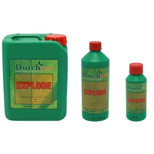 Dutch Pro Explode | The Grow Hub