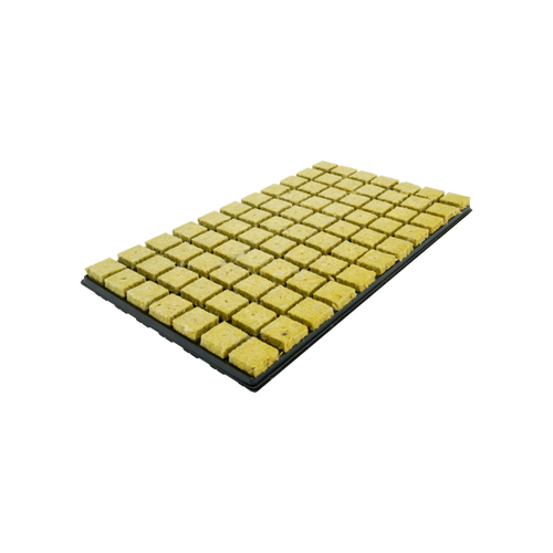 Rockwool Propagation Tray & Cubes | The Grow Hub