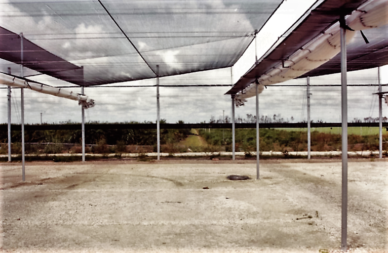 B&K Sawtooth Post and Cable Shade House | bkinstall