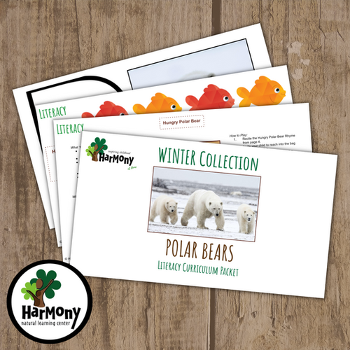 Polar Bears Literacy Packet ~ 14 pages | Harmony At Home