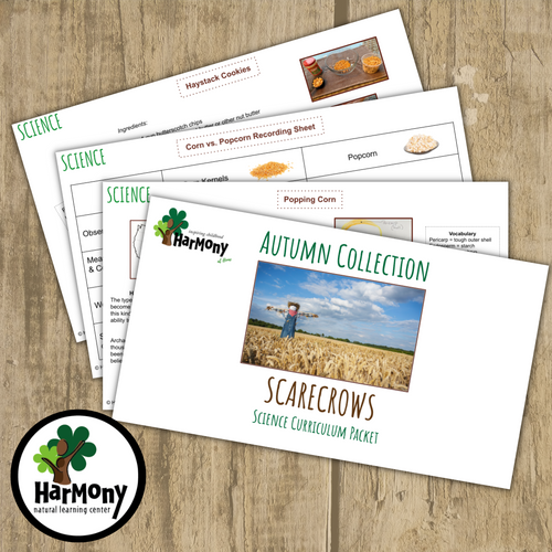 Scarecrows Science Curriculum Packet ~ 7 pages | Harmony At Home