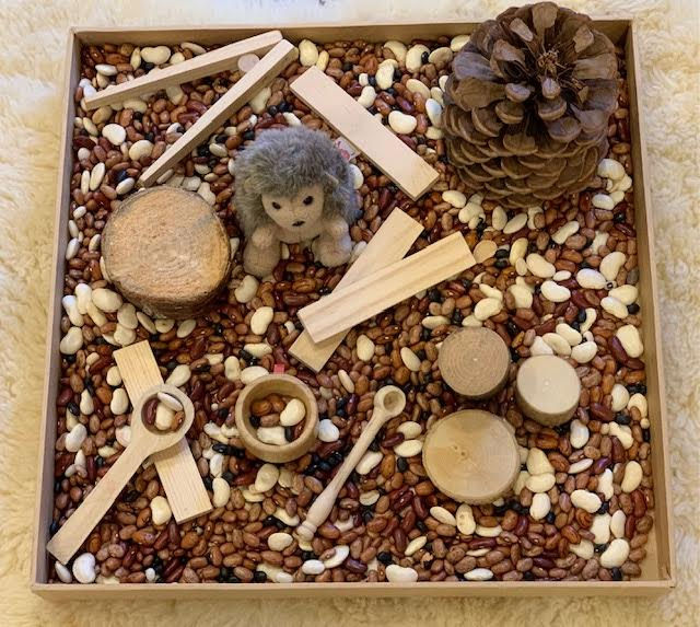 Play-Based, Nature-Based Curriculum Shop | Harmony At Home