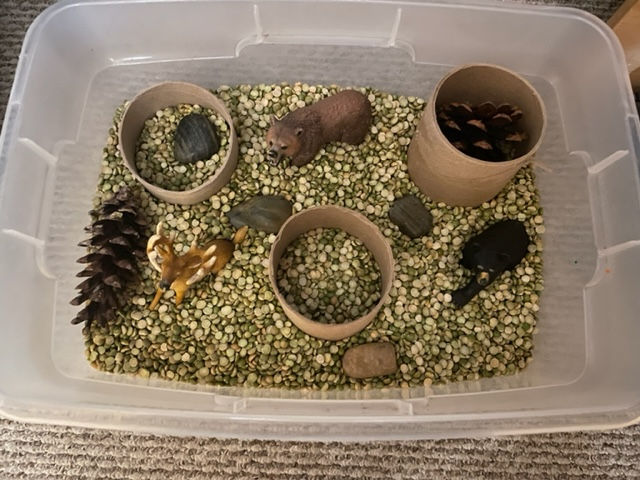 Play-Based, Nature-Based Curriculum Shop | Harmony At Home