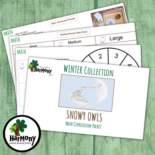 Snowy Owls Math Packet ~ 14 pages | Harmony At Home