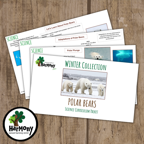 Polar Bears Science Packet ~ 8 pages | Harmony At Home