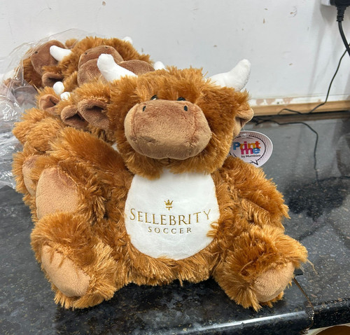 Bobby Bull The Mascot | sellebritysoccer