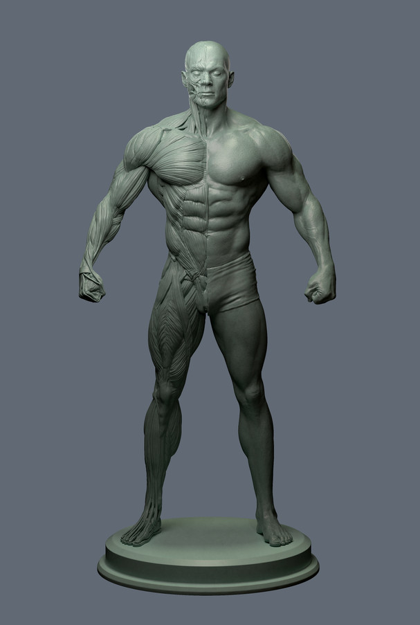 Ecorche by Raf Grassetti