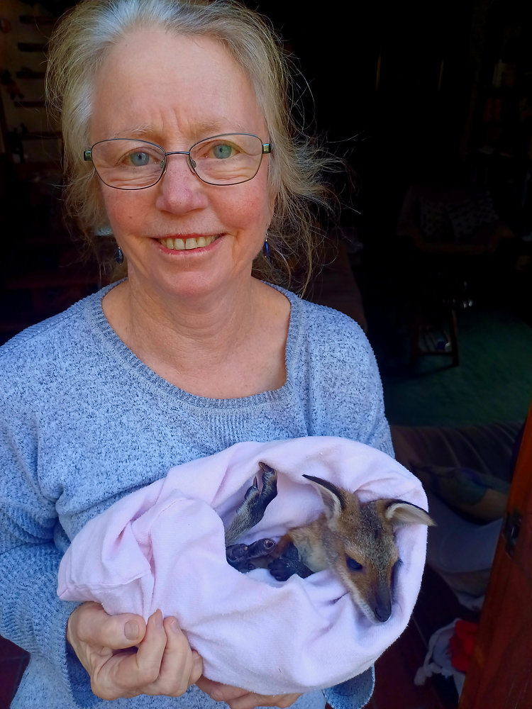 A Batty Love