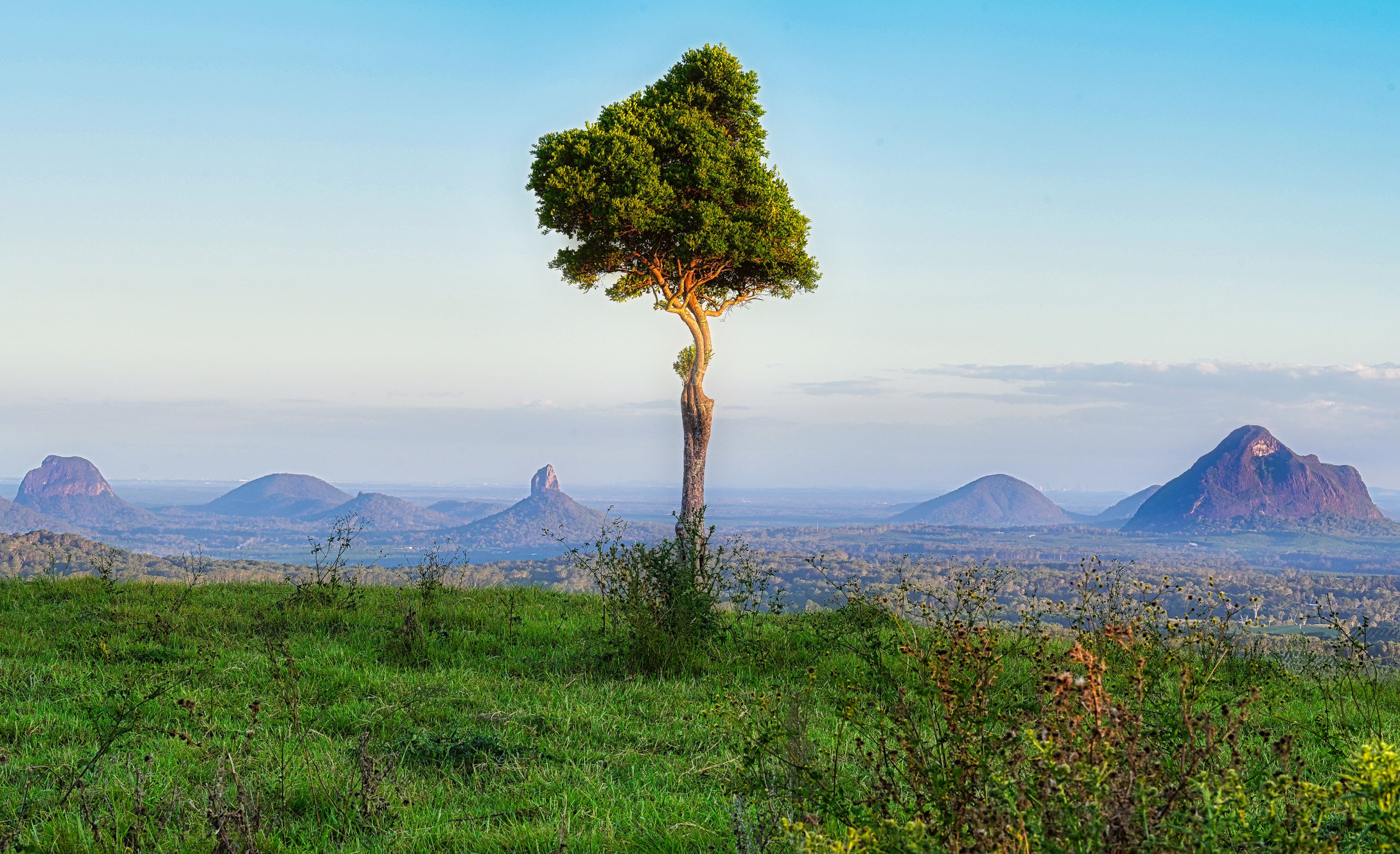 Hinterland Times | Sunshine Coast hinterland community news magazine ...