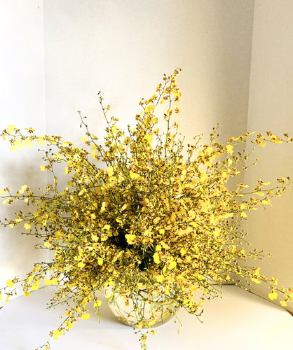 POPCORN ORCHIDS | Nicco Floral Designs