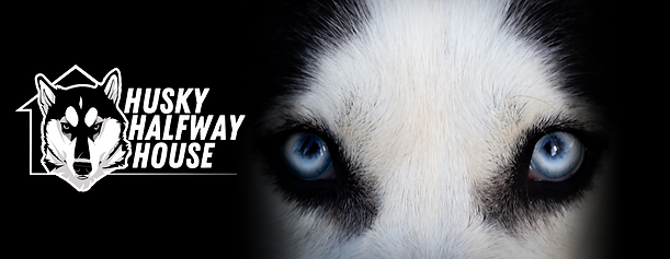 Adoptable Huskies | Husky Halfway House