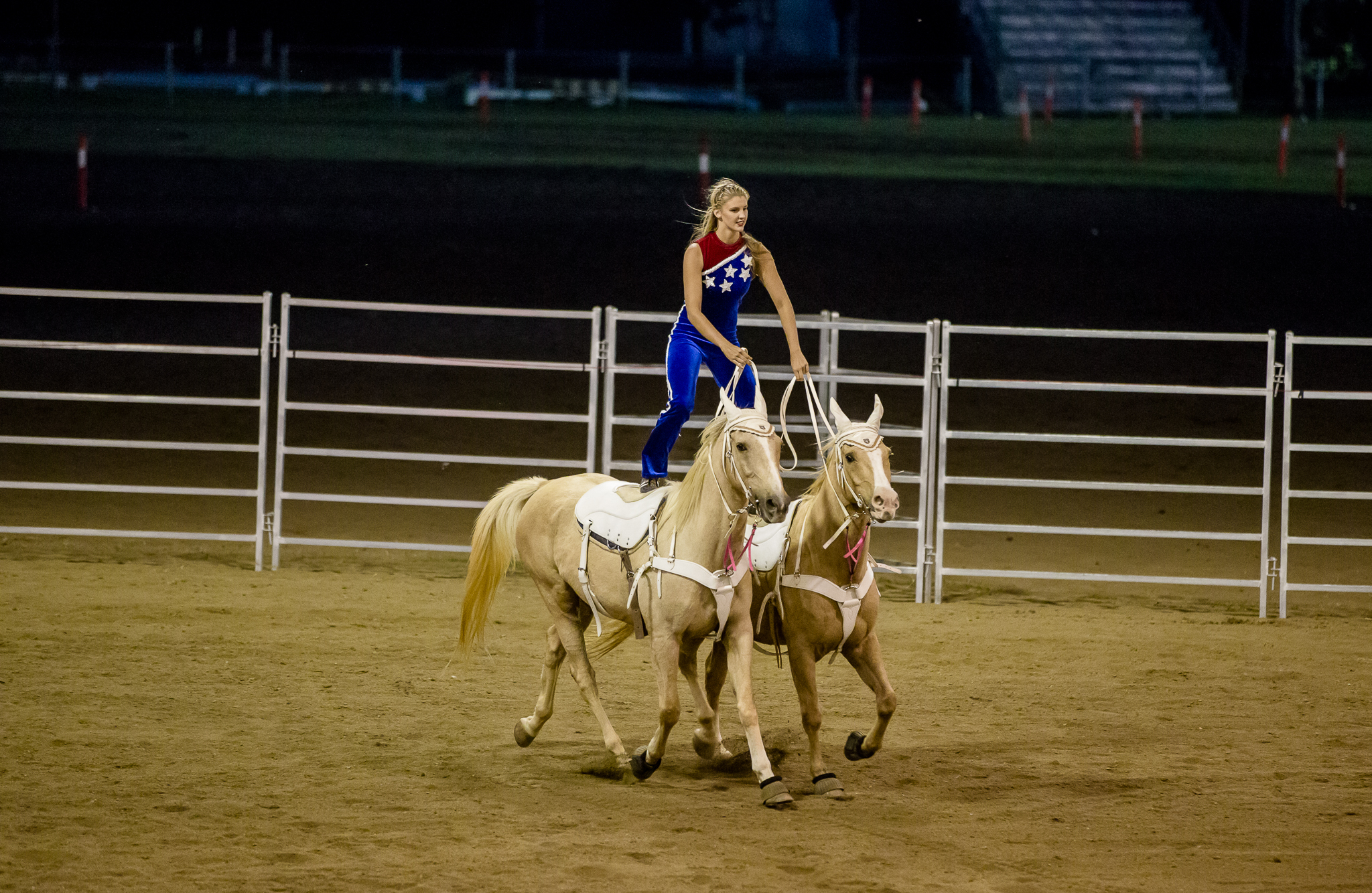 Dalby & District Show Society