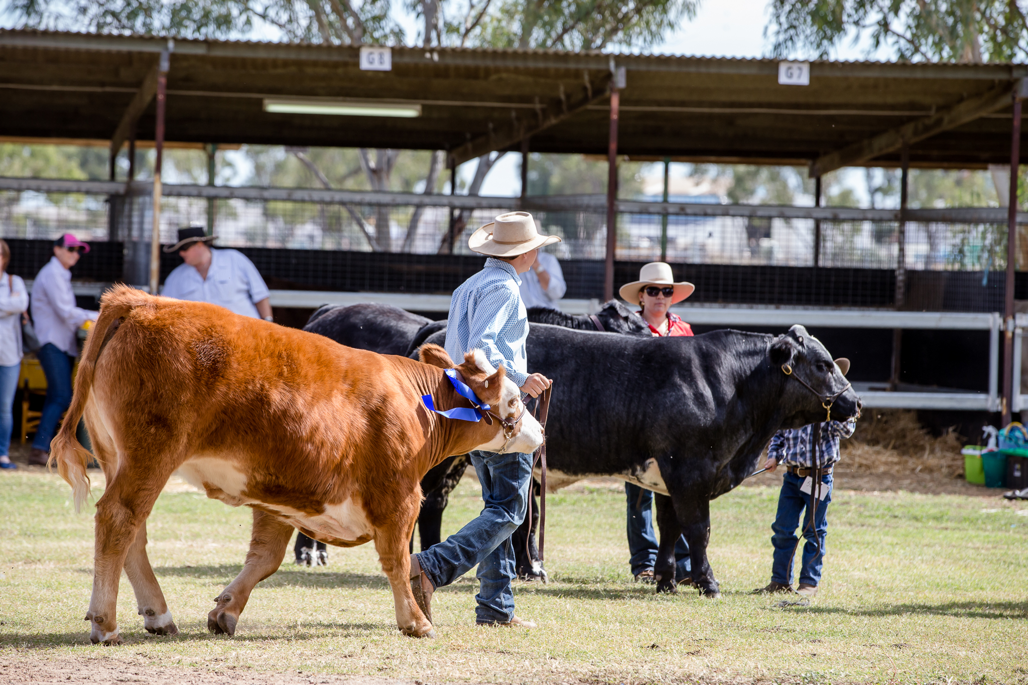 Dalby & District Show Society