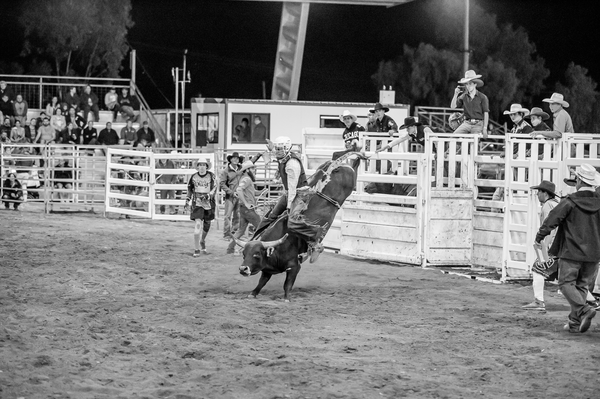 Dalby & District Show Society
