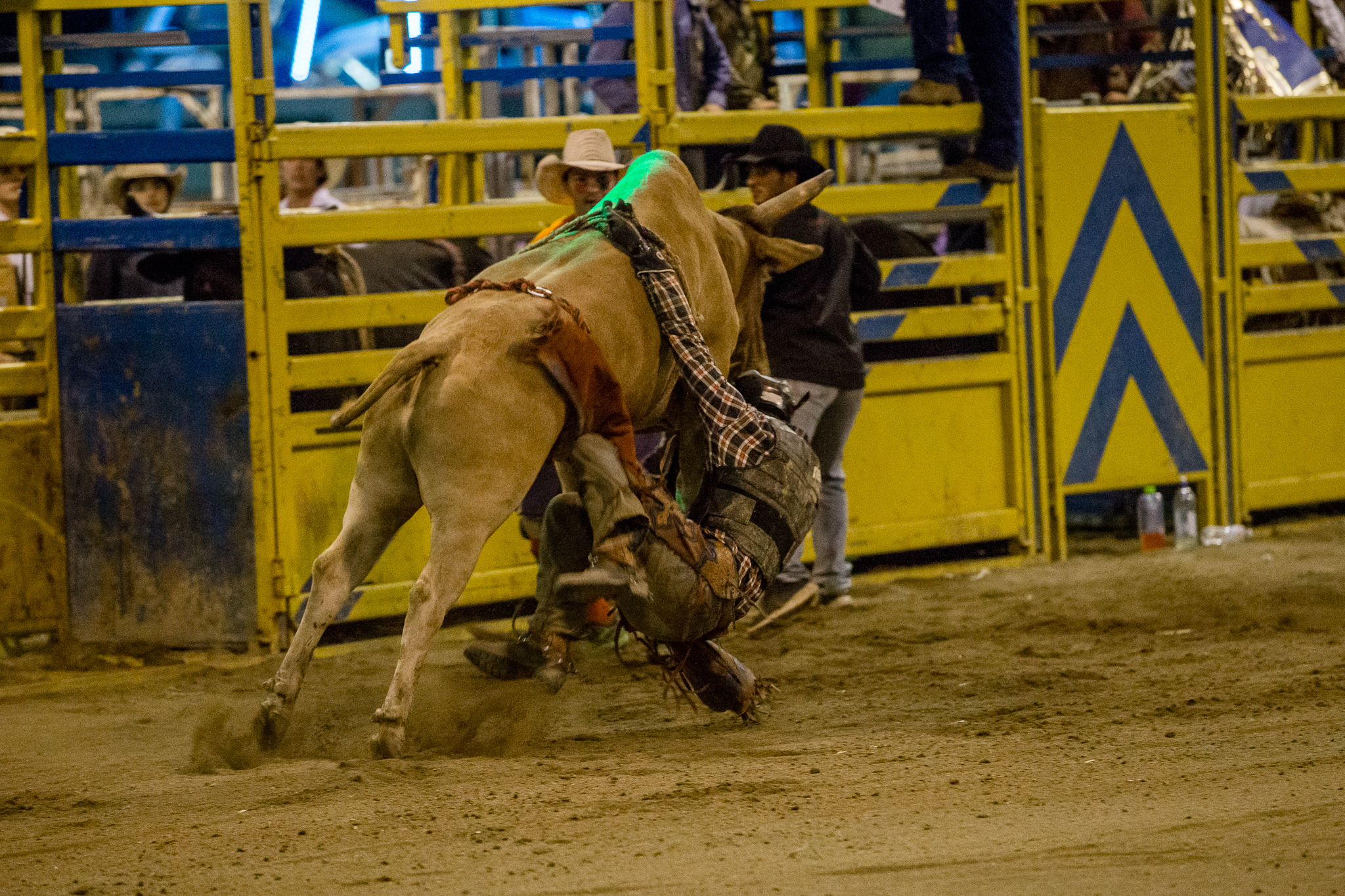 Dalby & District Show Society