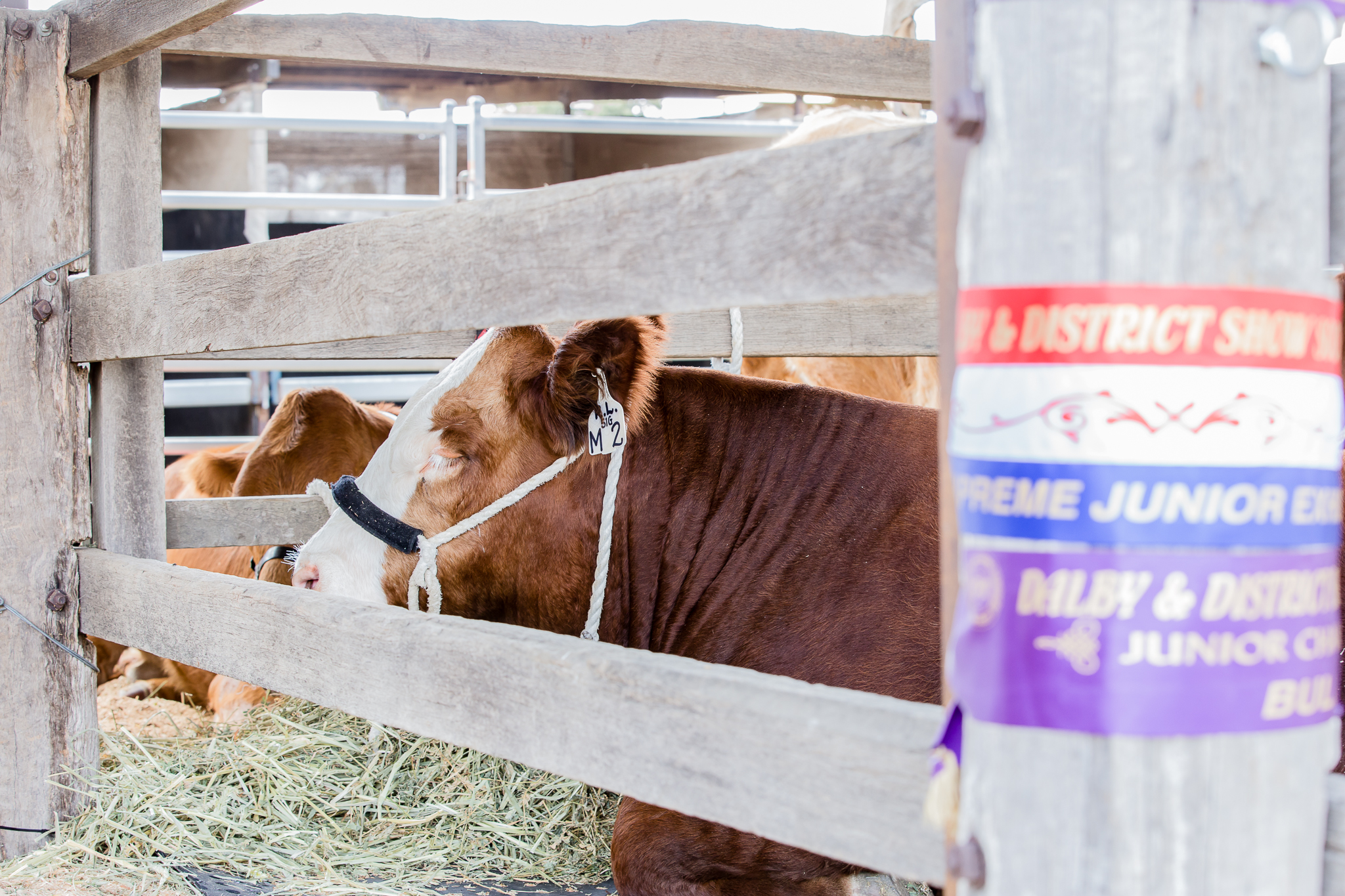 Dalby & District Show Society