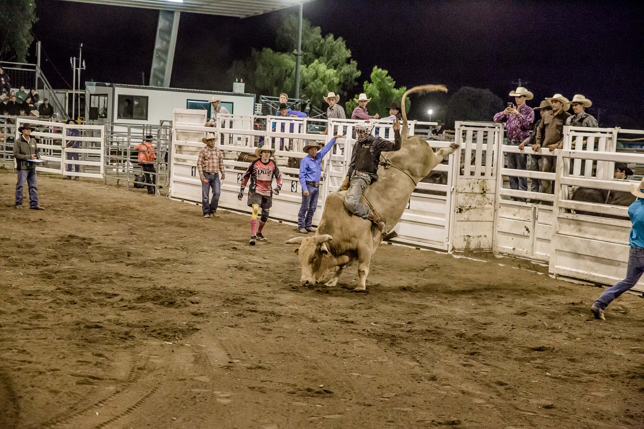Dalby & District Show Society