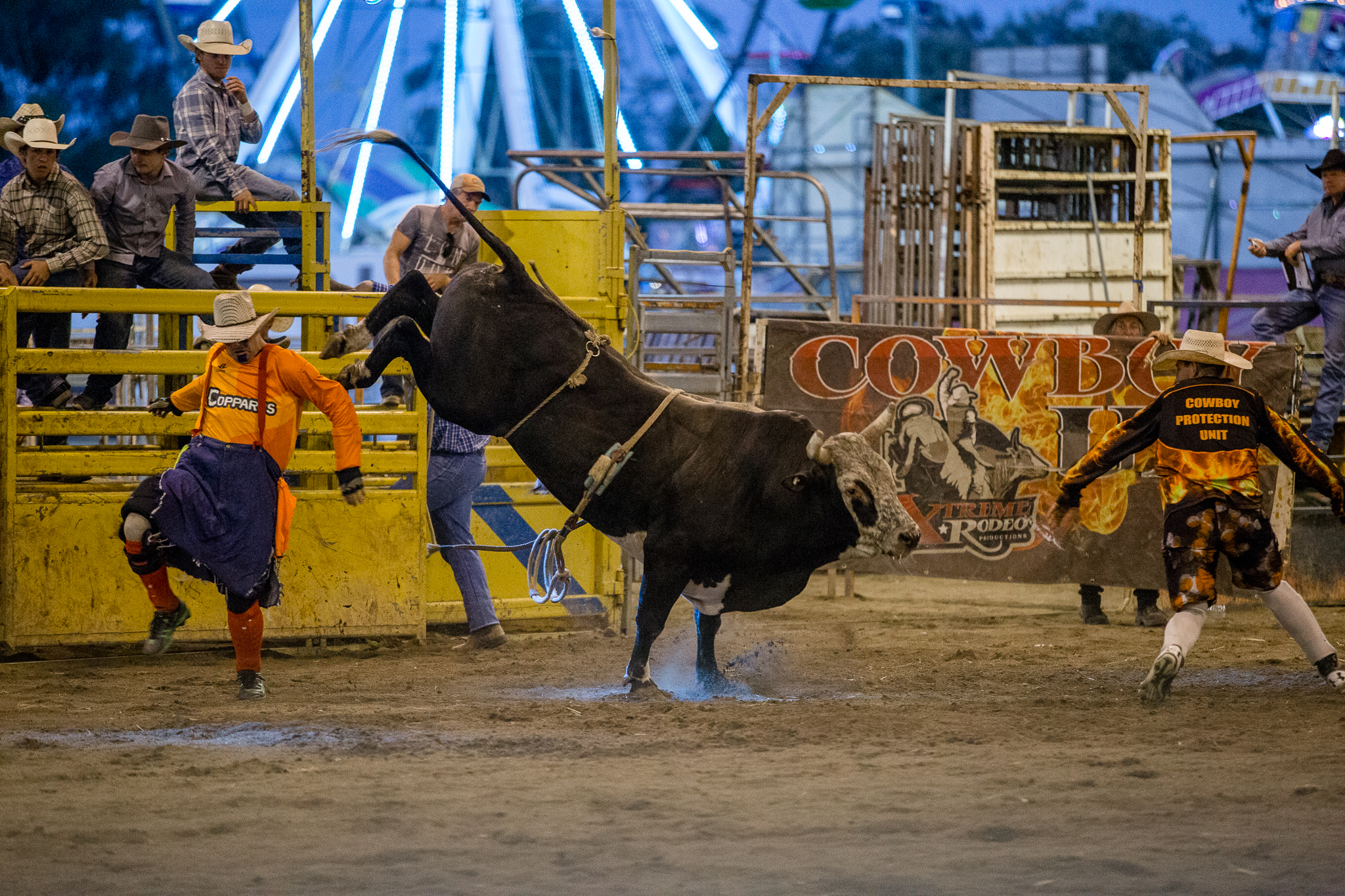 Dalby & District Show Society