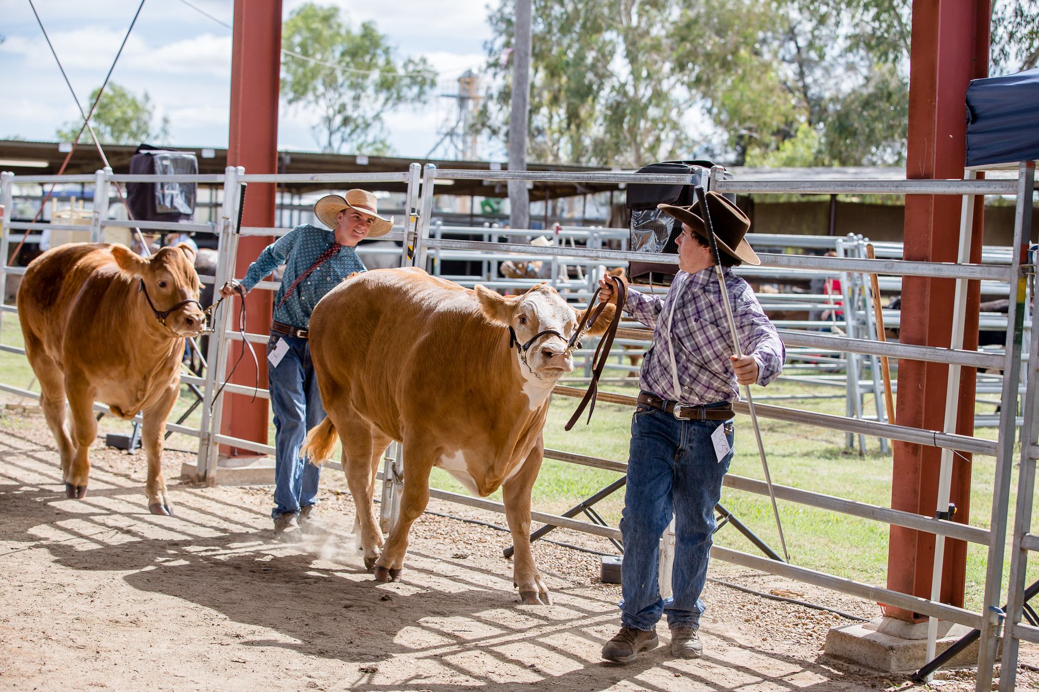 Dalby & District Show Society
