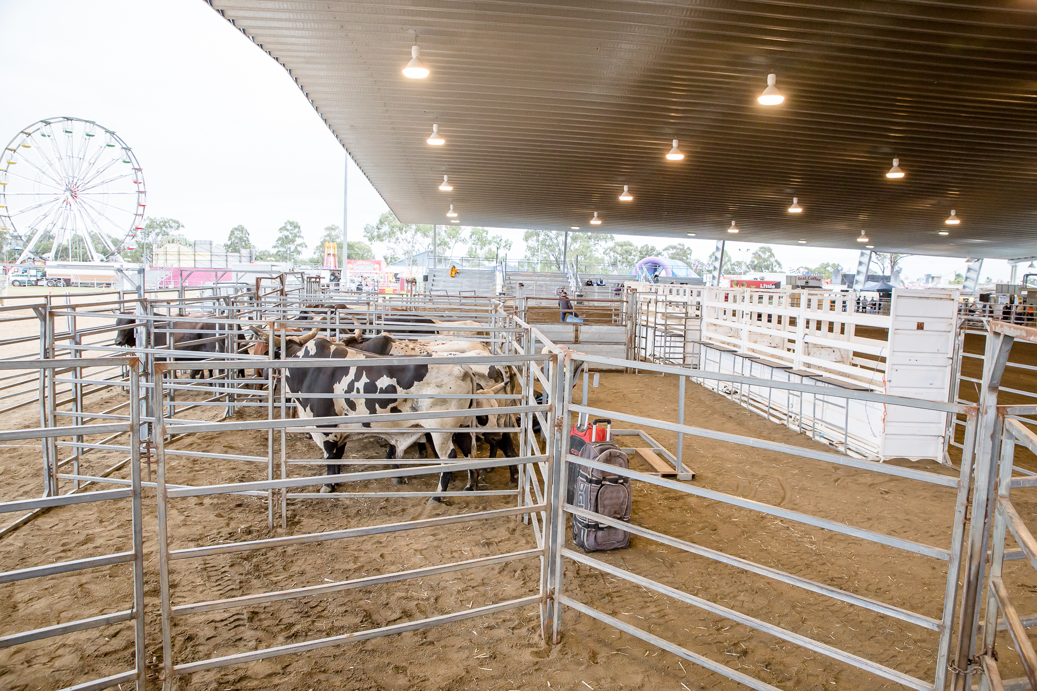 Dalby & District Show Society