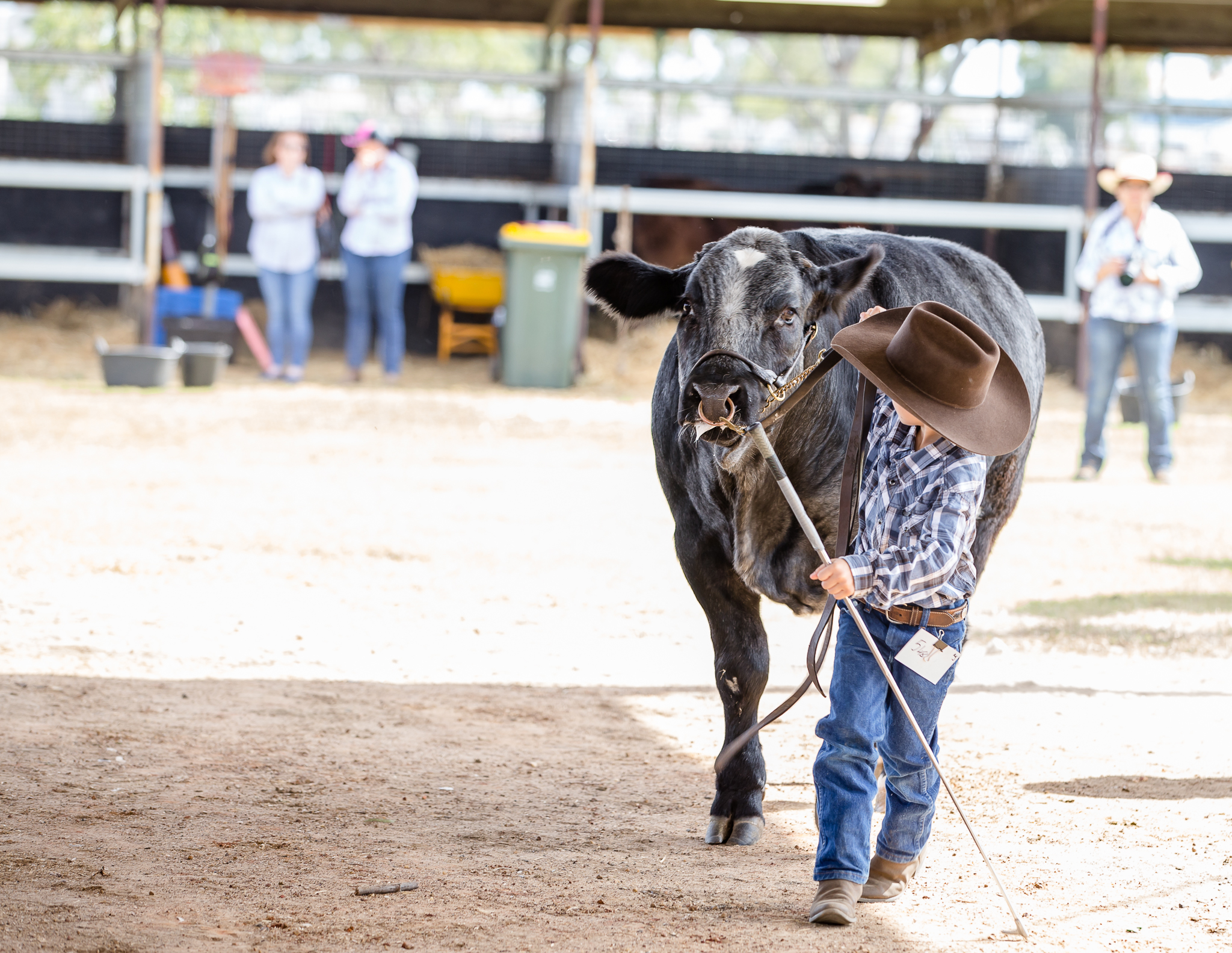 Dalby & District Show Society