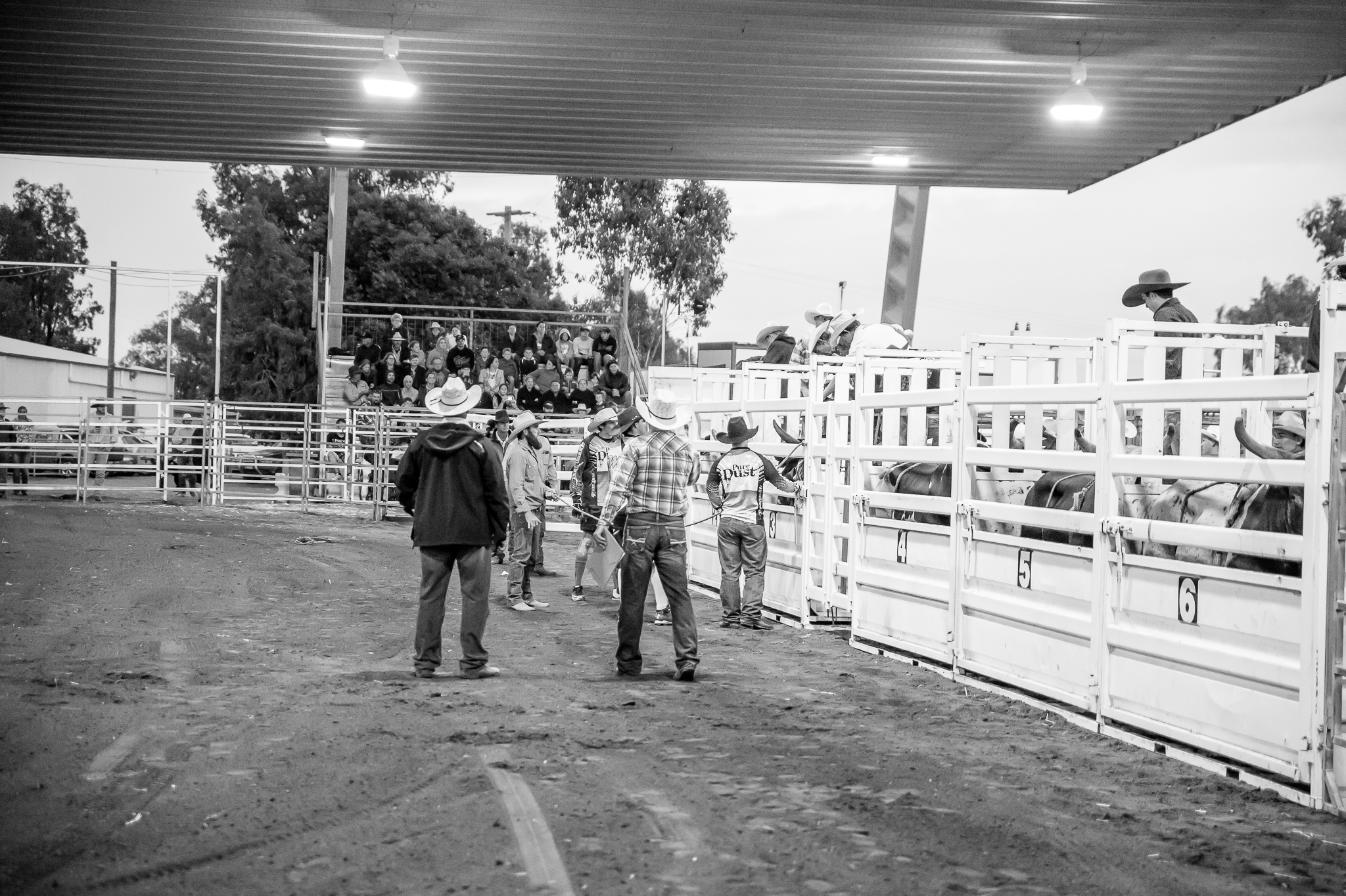 Dalby & District Show Society