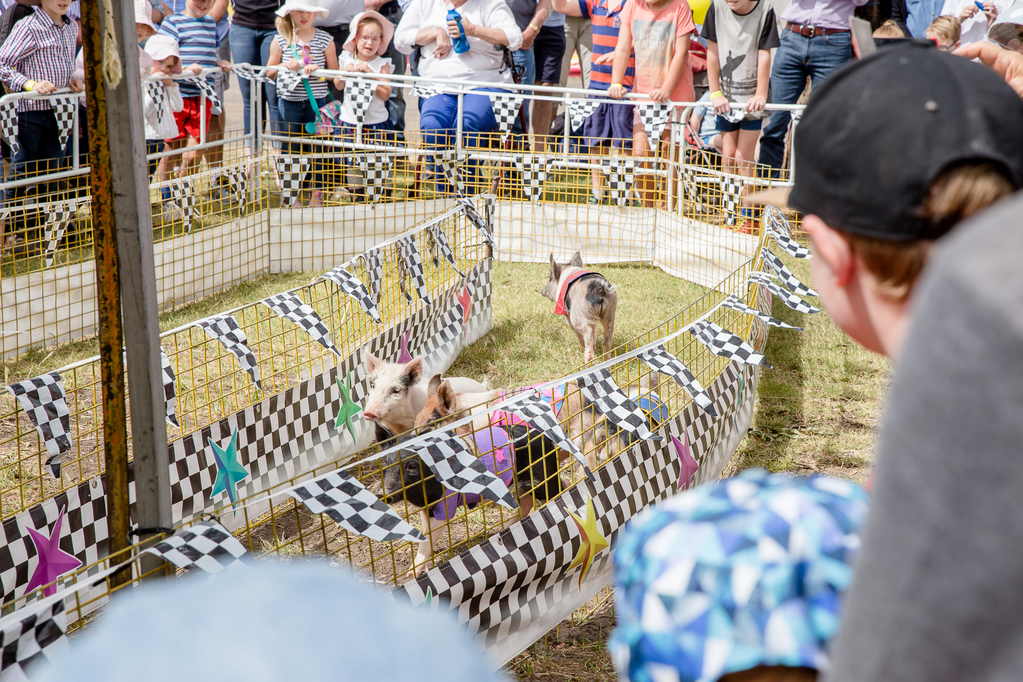 Dalby & District Show Society