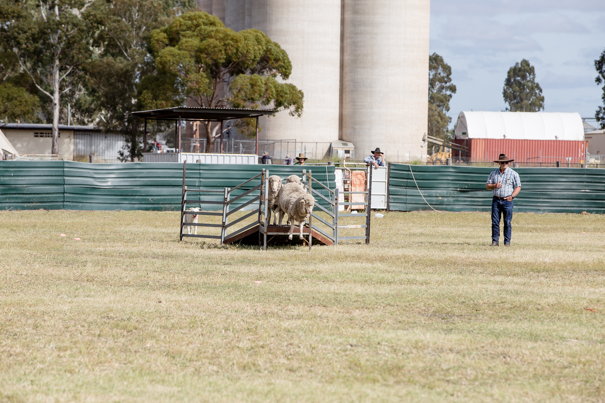 Dalby & District Show Society